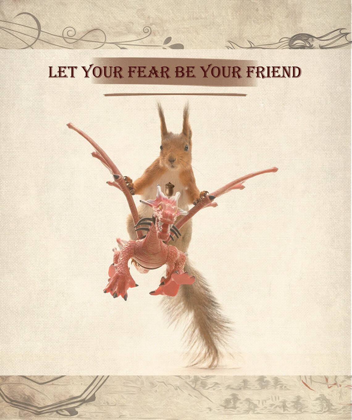 Squirrel Wisdom Book With Photos of the Red Squirrel - Etsy