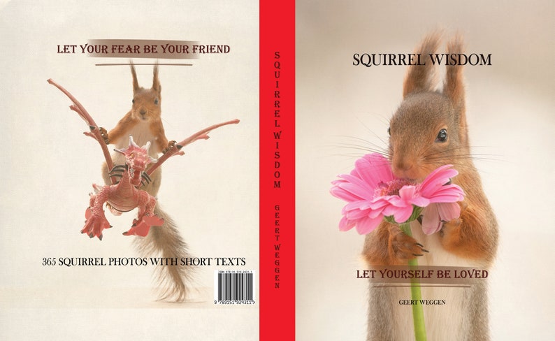 Squirrel Wisdom Book With Photos of the Red Squirrel - Etsy