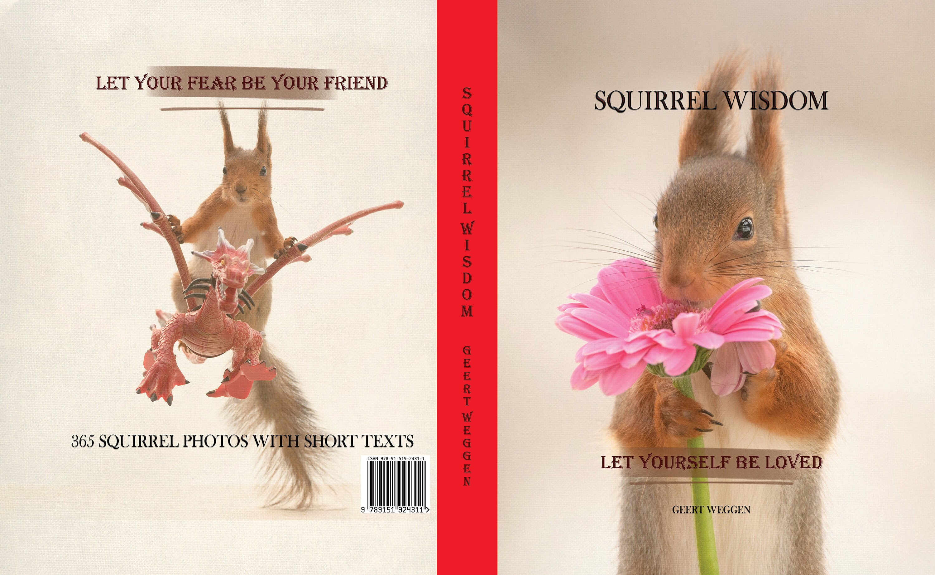 Squirrel Wisdom Book With Photos of the Red Squirrel - Etsy