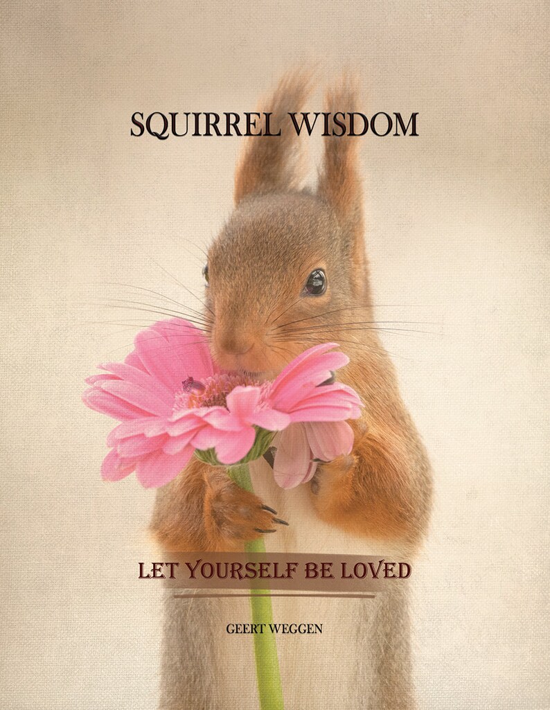 Squirrel Wisdom Book With Photos of the Red Squirrel - Etsy