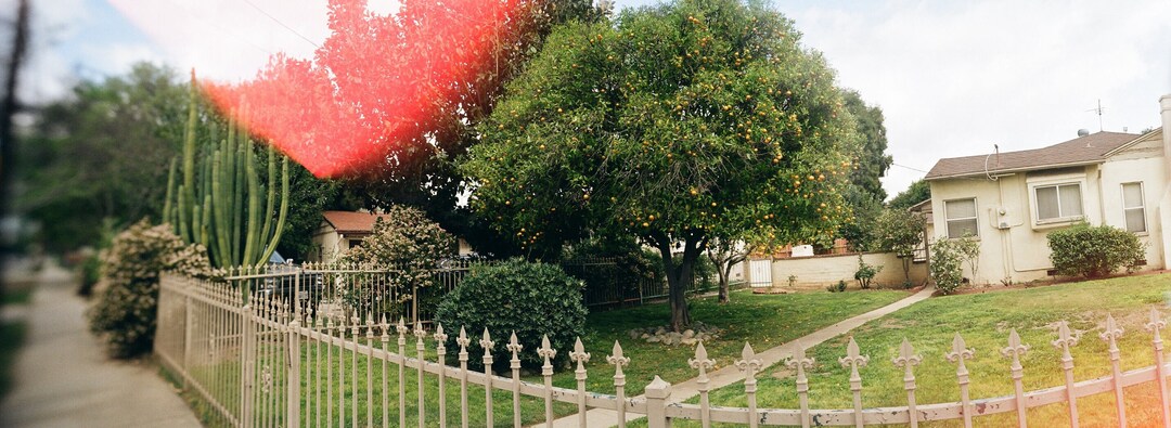 San Gabriel Lemon Tree Chromalux Metal Print 30 X 12 - Etsy