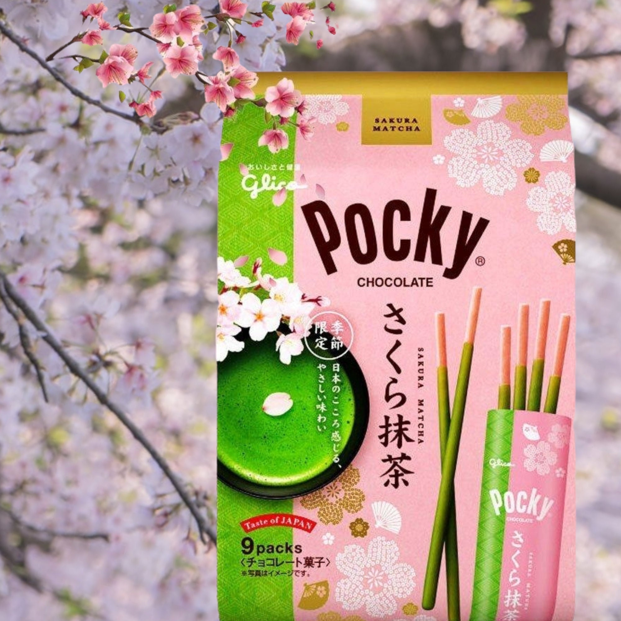 Pocky Green Tea Midi