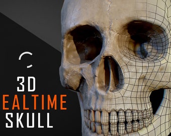 Procreate 3D Model Low Poly Clothes Set (Instant Download) - Etsy