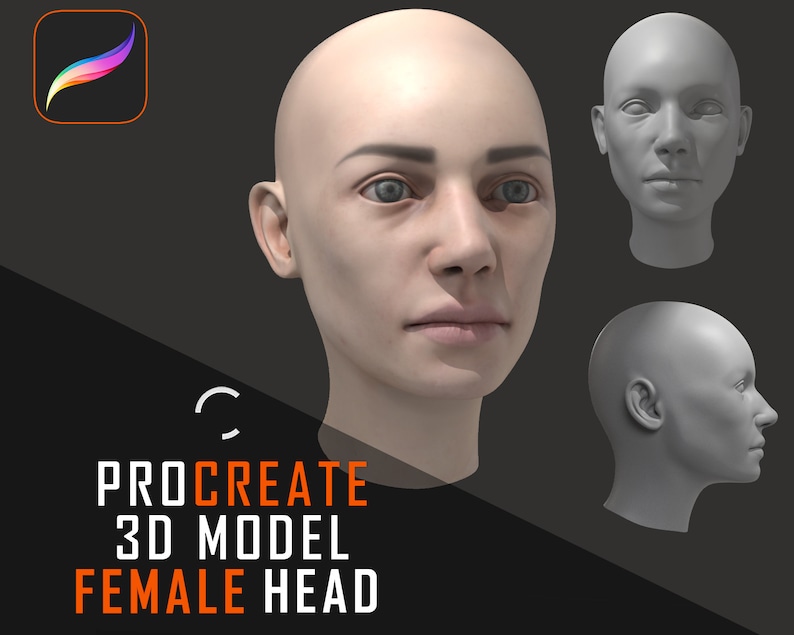 Procreate 3D Model | Female Head /w Textures - Etsy