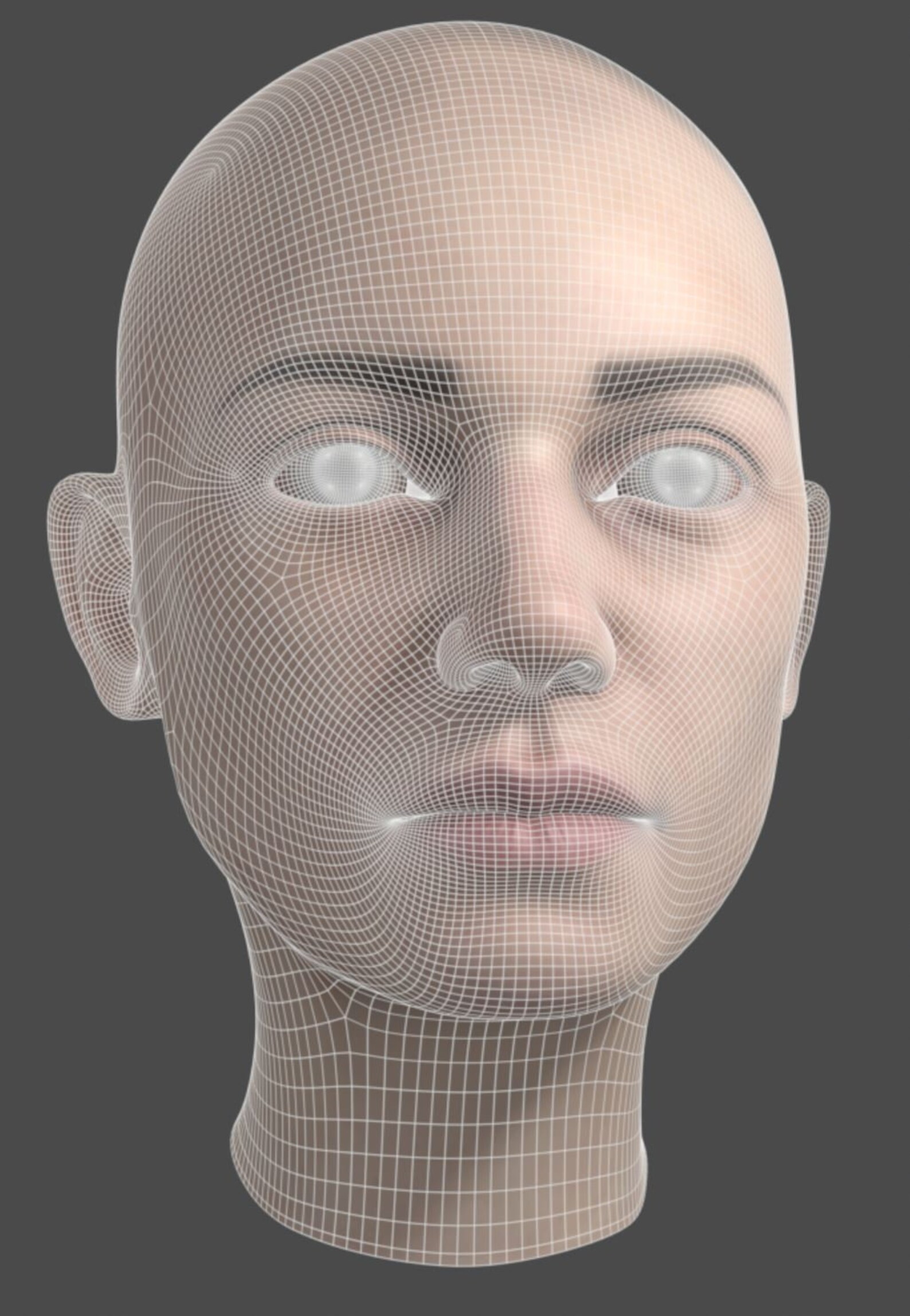 Procreate 3D Model | Female Head /w Textures - Etsy