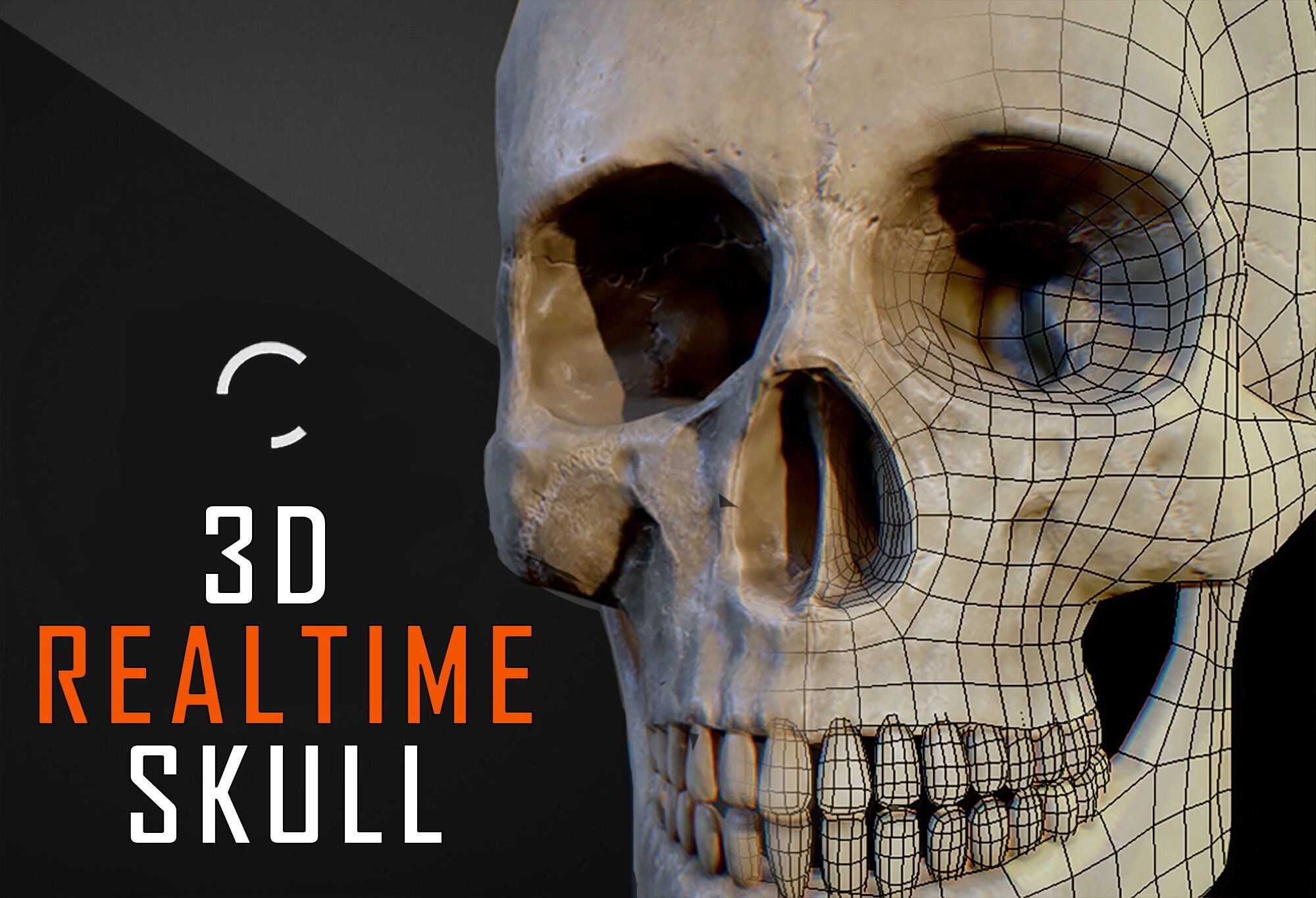 3D Model Skull | Digital | Low Poly - Etsy