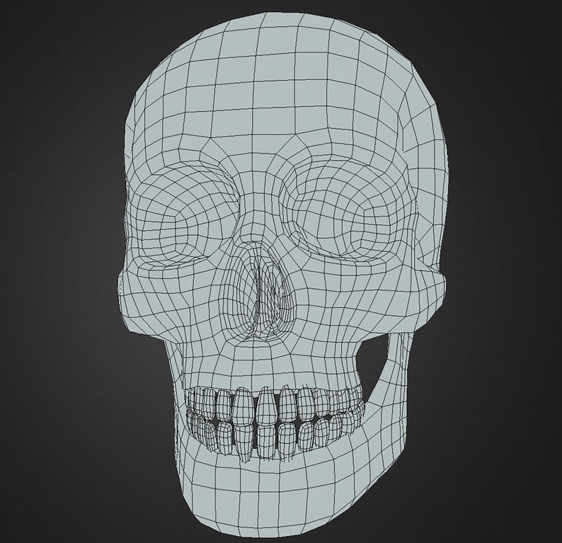 3D Model Skull Digital Low Poly - Etsy