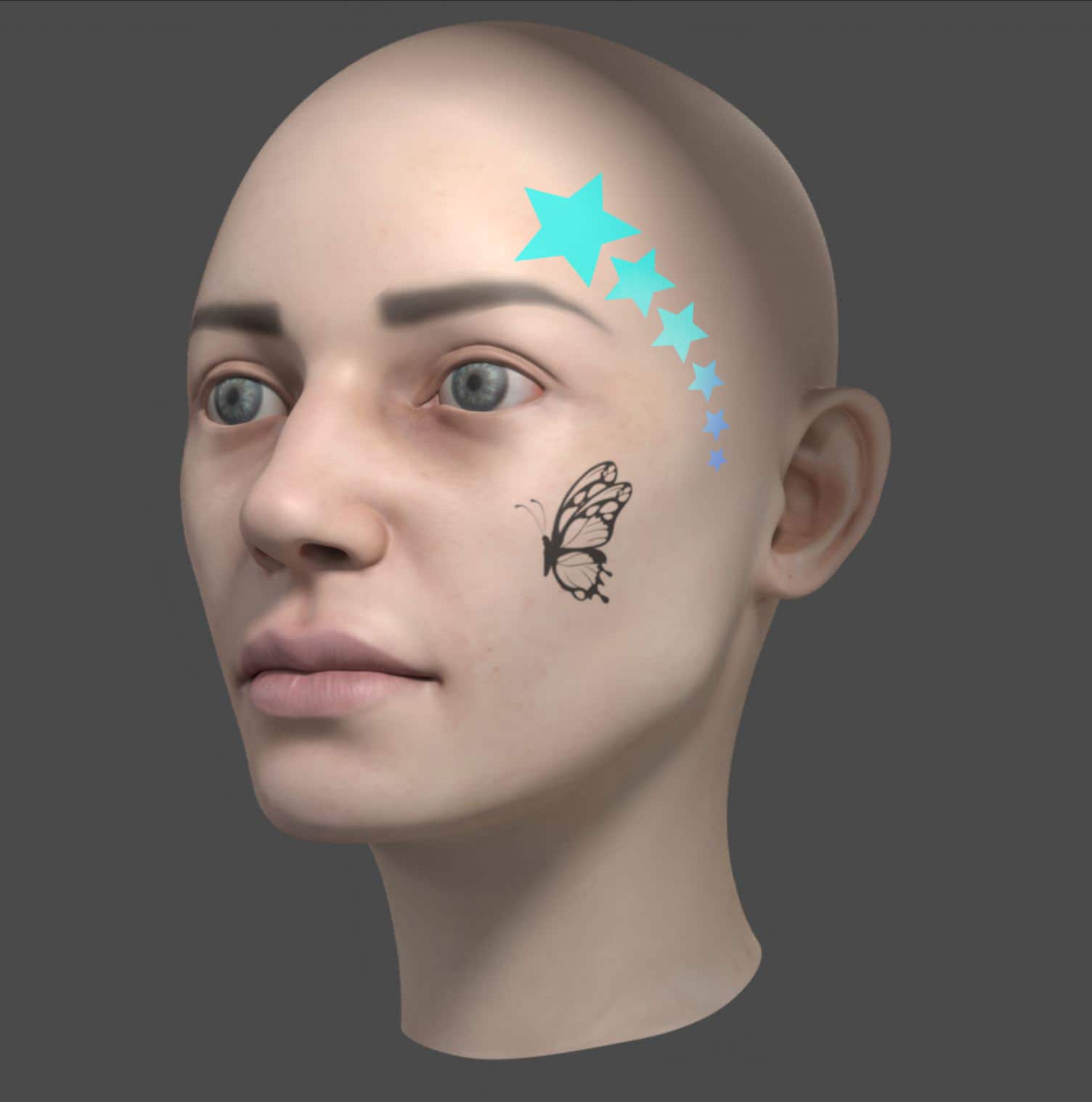 Procreate 3D Model | Female Head /w Textures - Etsy