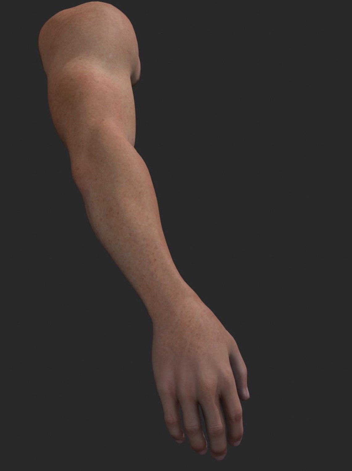 Procreate 3D Model Realistic Arm Male - Etsy