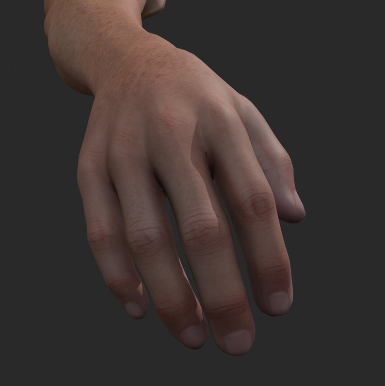 Procreate 3D Model Realistic Arm Male - Etsy