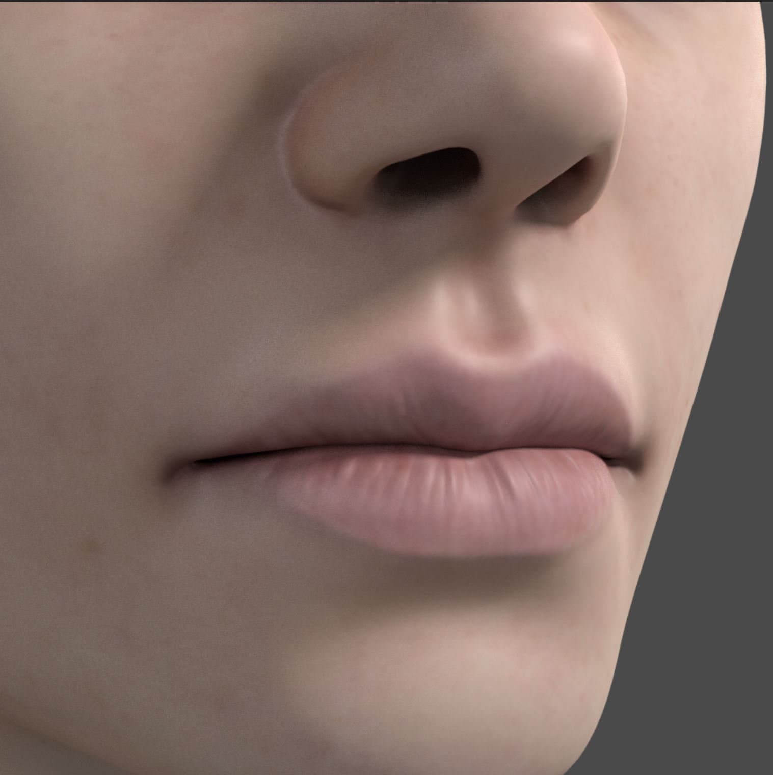 Procreate 3D Model | Female Head /w Textures - Etsy