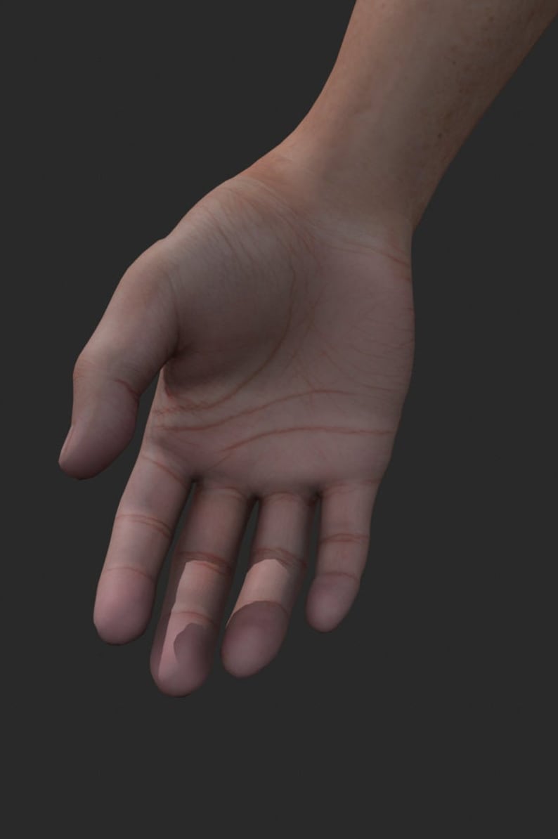 Procreate 3D Model | Realistic Arm | Male - Etsy