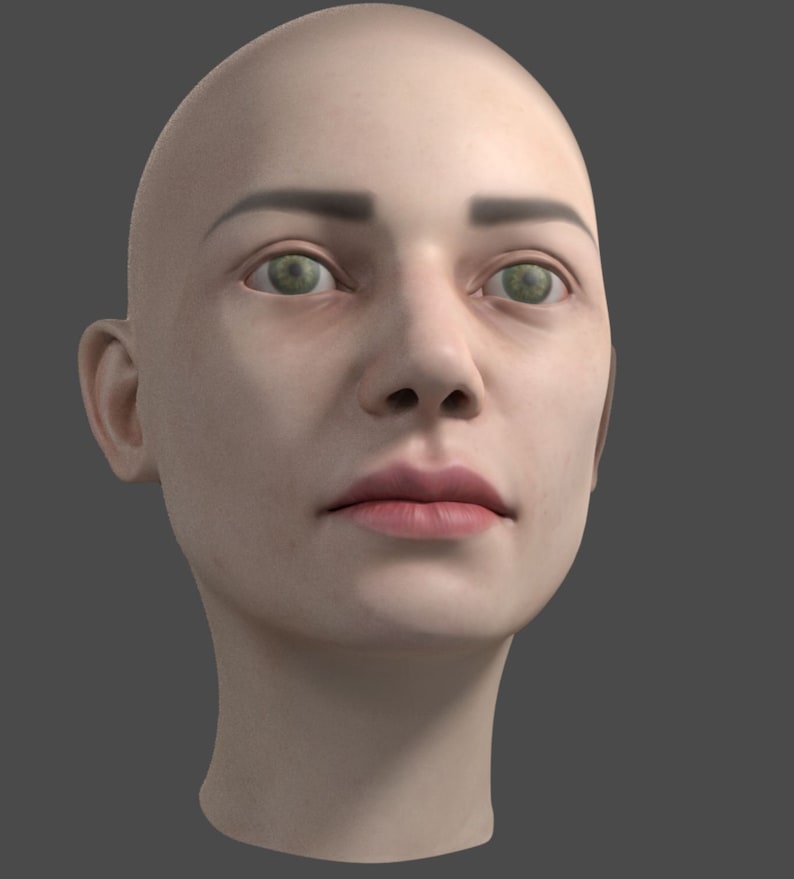 Procreate 3D Model Female Head /w Textures - Etsy