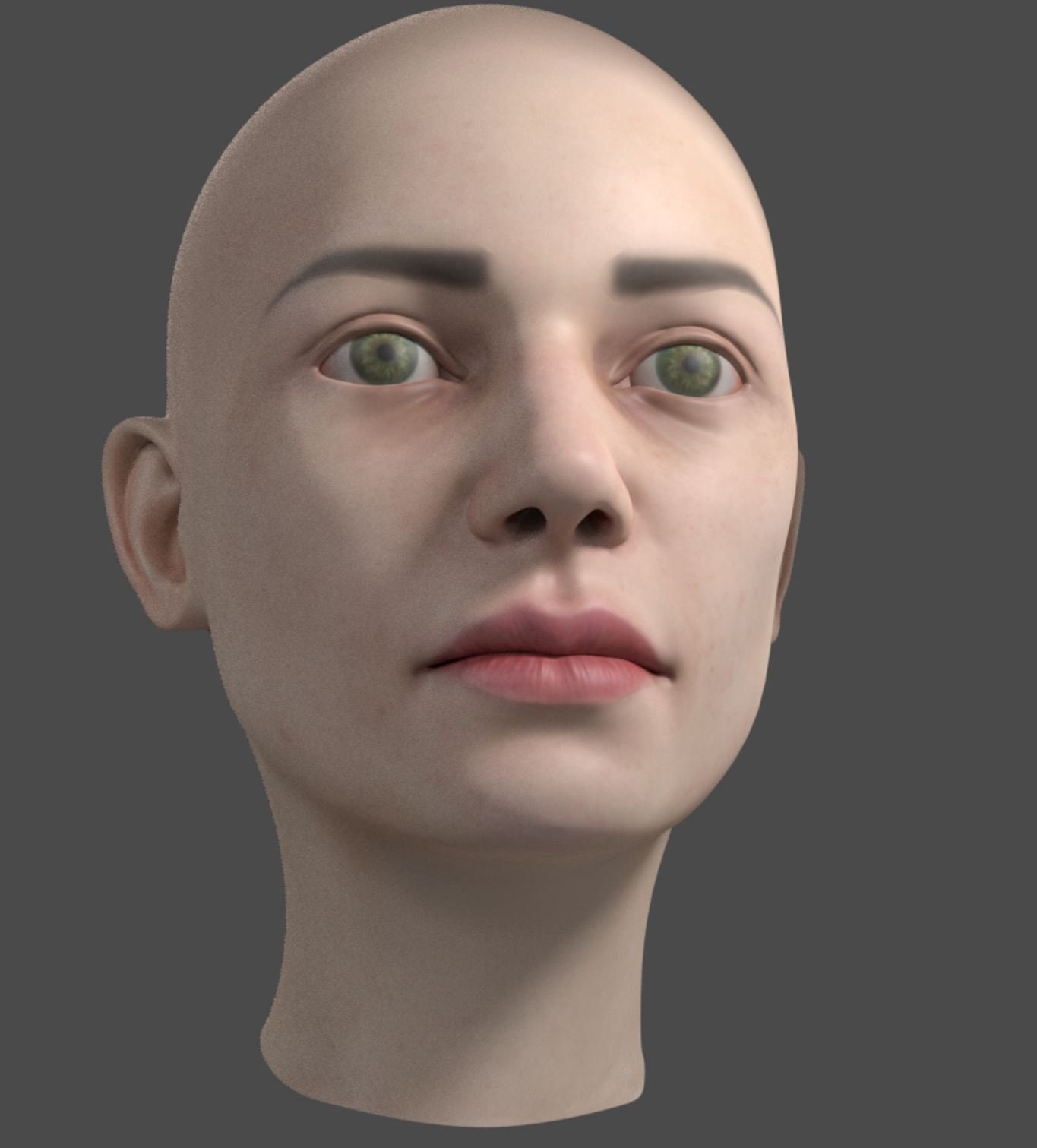Procreate 3D Model Female Head /w Textures - Etsy