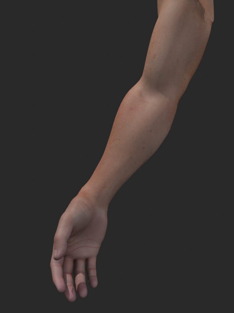 Procreate 3D Model Realistic Arm Male - Etsy