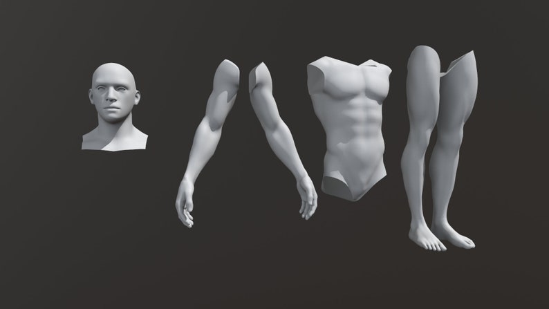 Procreate 3D Model | Body Bundle | Male - Etsy