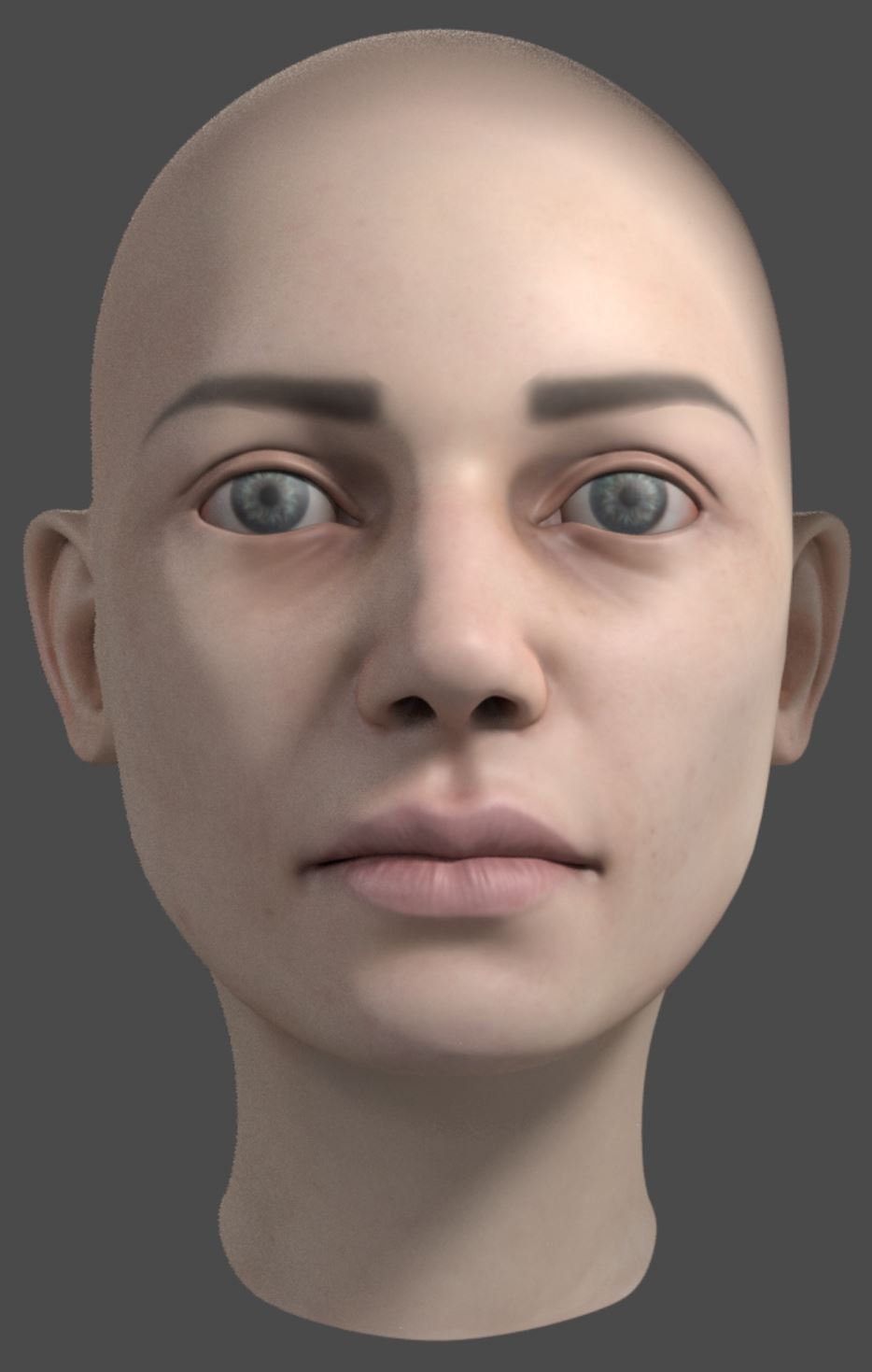 Procreate 3D Model | Female Head /w Textures - Etsy