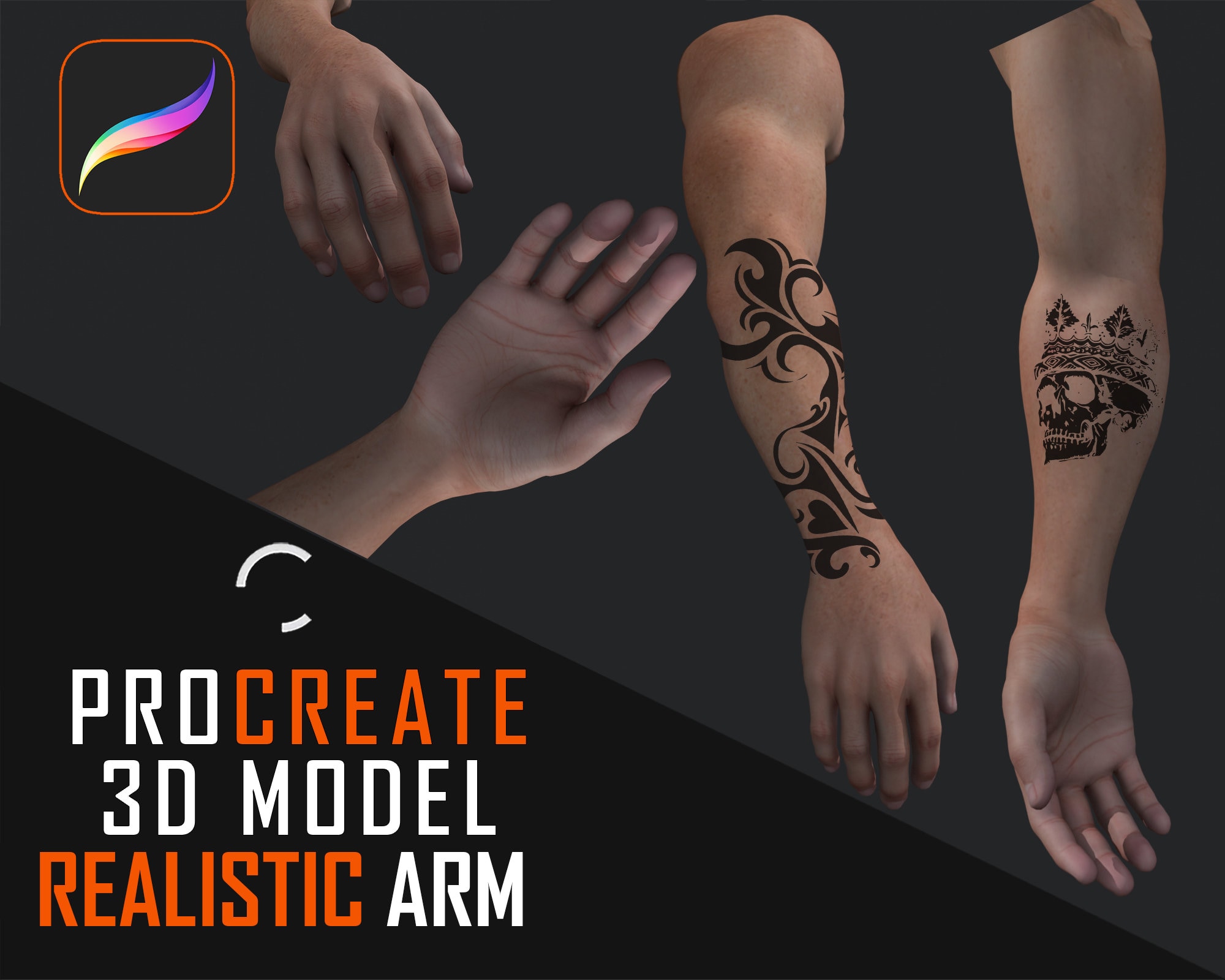 Procreate 3D Model Realistic Arm Male - Etsy