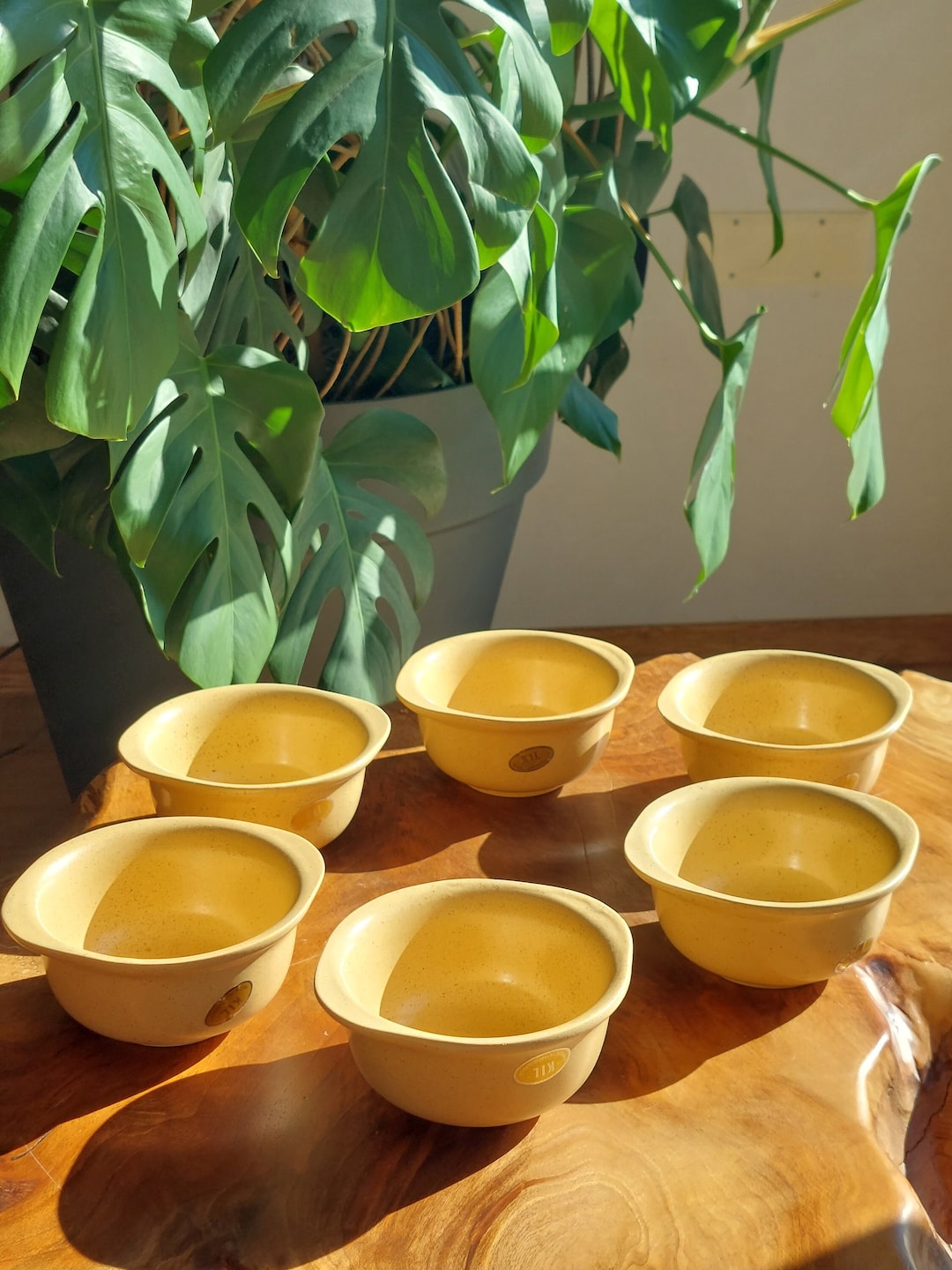 Vintage Ceramic Clay Bowls / Retro Clay Bowls /set of 6 / Retro Beige ...
