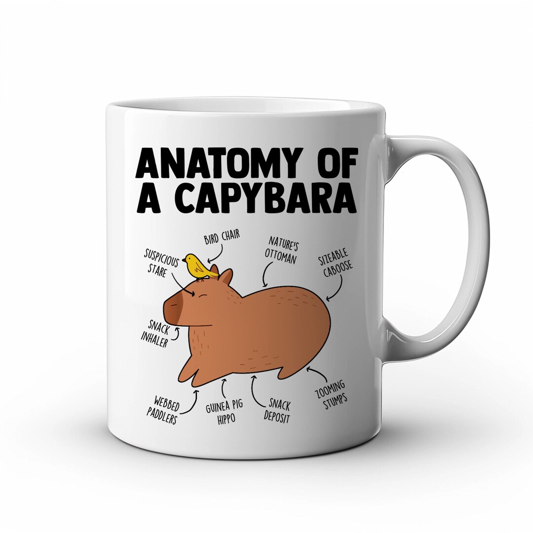 Anatomy of a Capybara, Capybara Mug, Funny Capybara Gifts, Capybara ...