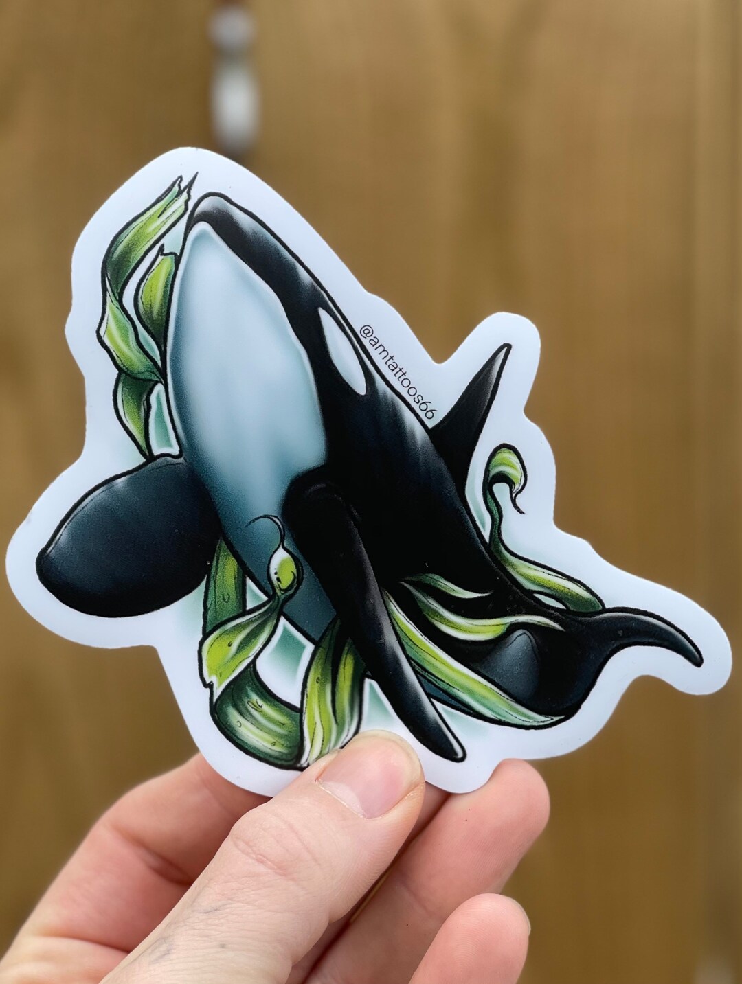 Orca 5x5 Vinyl Magnet - Etsy