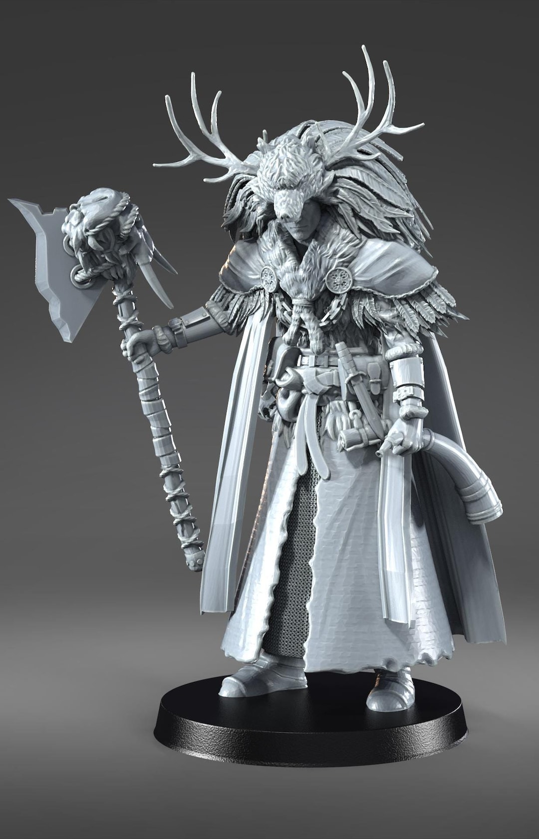 Dungeons and Dragons Playable Character Male Human Druid, Fighter ...