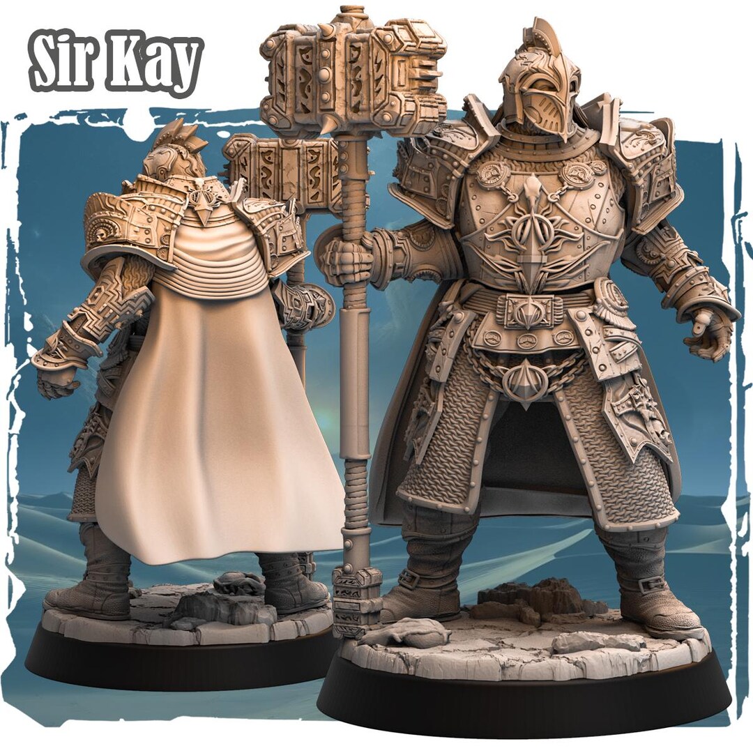 Dungeons and Dragons, DND TTRPG, Wargaming - Playable Character Male ...