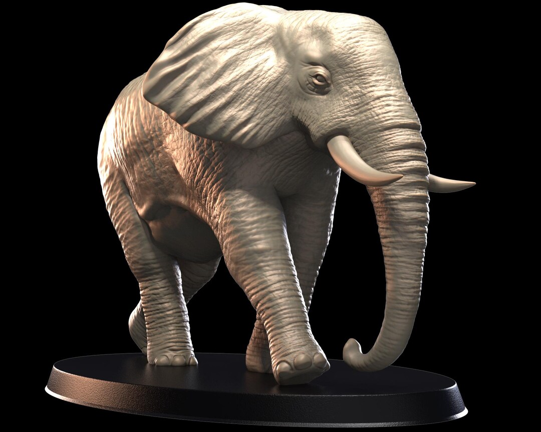 Dungeons and Dragons, DND TTRPG, Wargaming - 53mm Tall - Druid ...