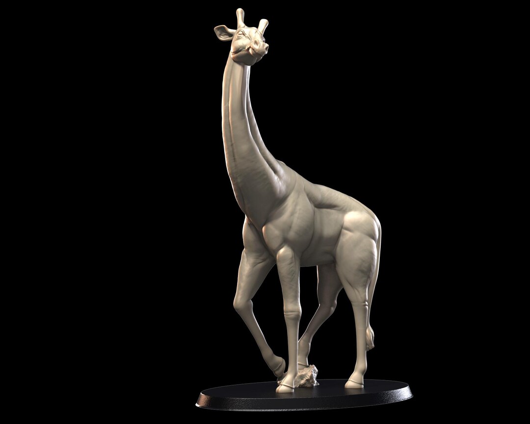 Dungeons and Dragons, DND TTRPG, Wargaming - 61mm Tall - Druid ...