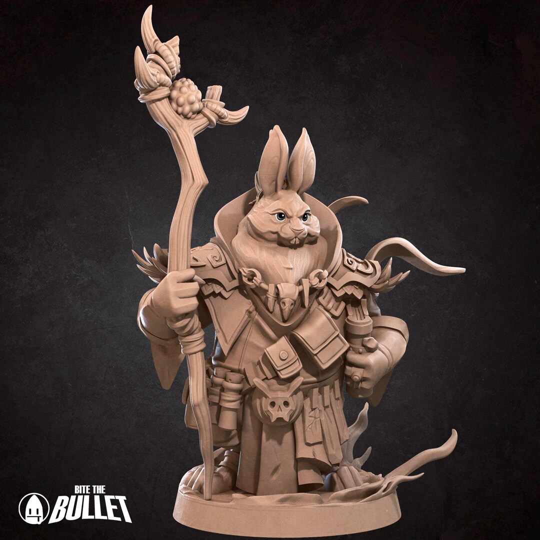 Dungeons and Dragons, DND TTRPG, Wargaming - Playable Character ...