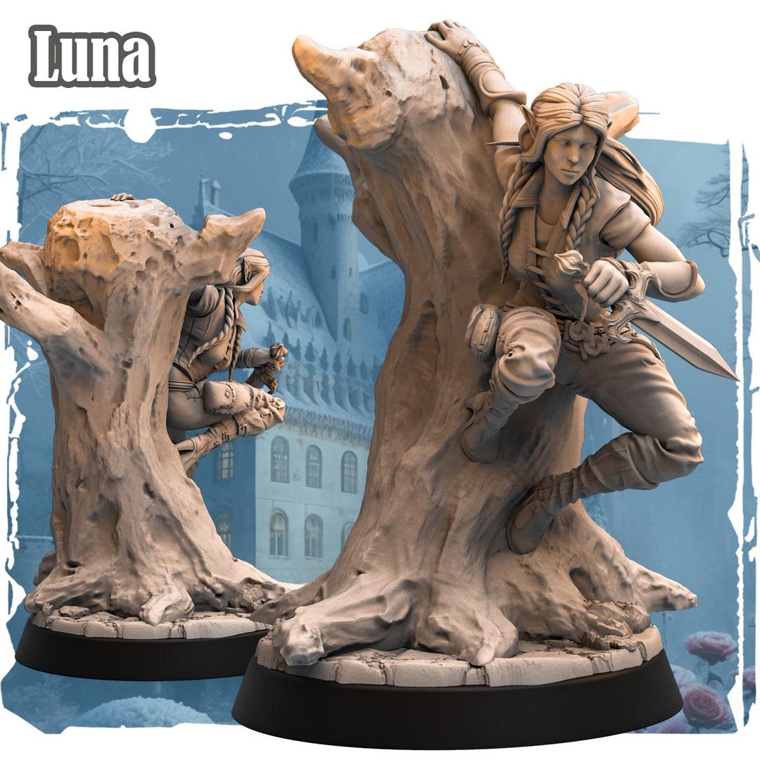 Dungeons and Dragons, DND TTRPG, Wargaming - Playable Character Female ...