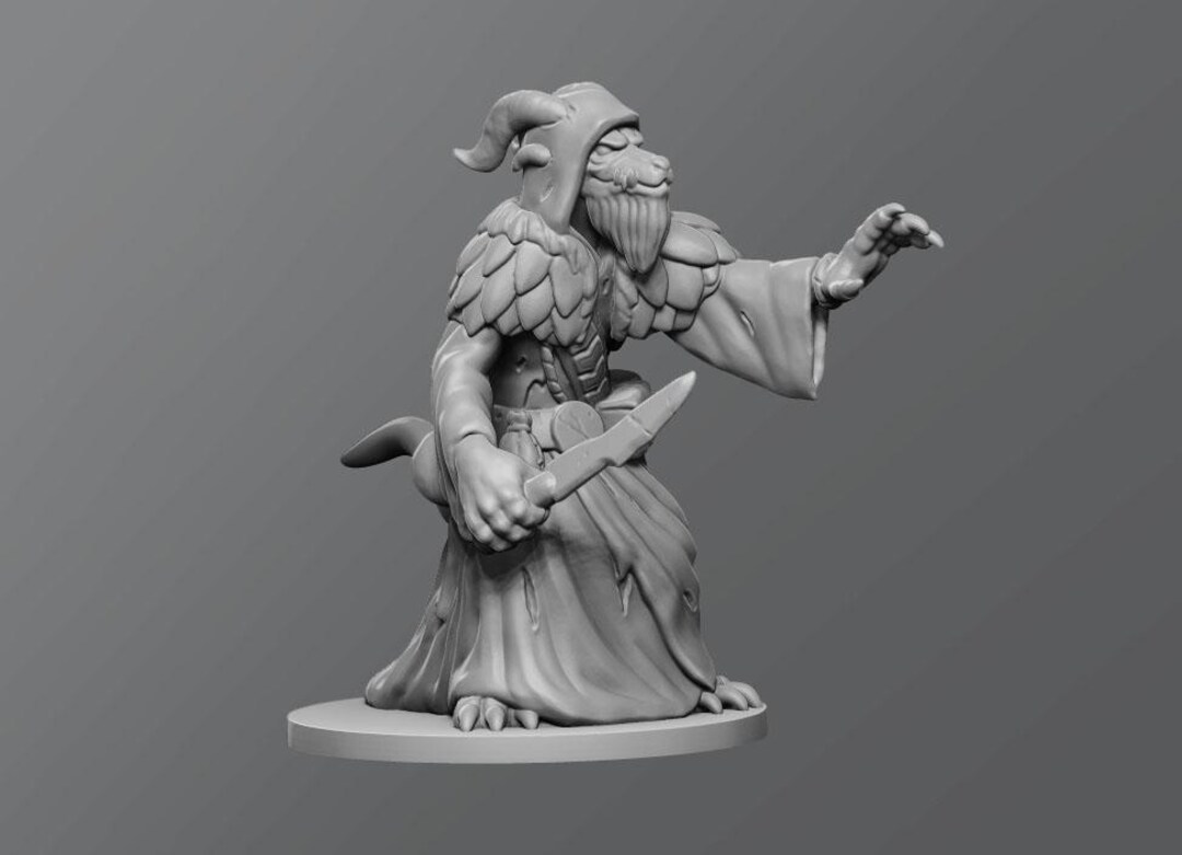 Dungeons and Dragons, DND TTRPG, Wargaming - Playable Character ...