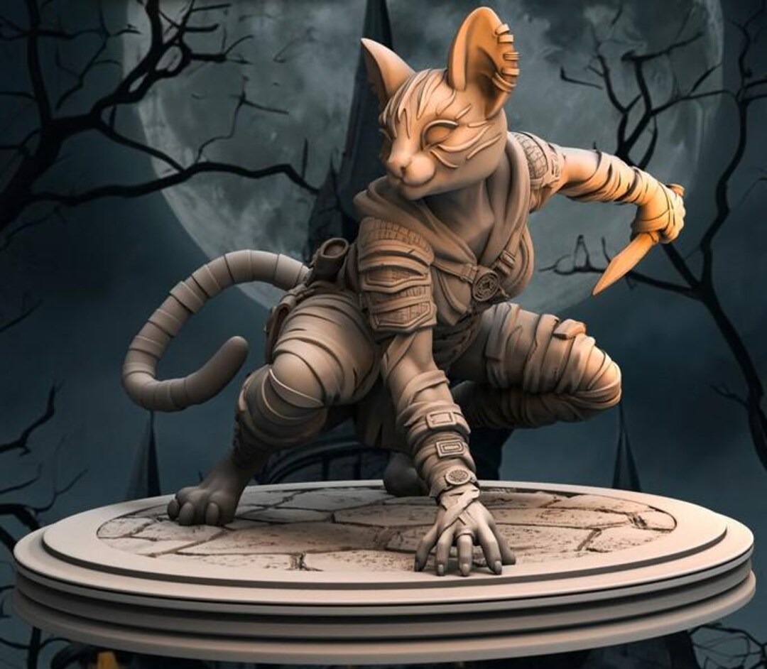 Dungeons and Dragons, DND TTRPG, Wargaming - Playable Character ...