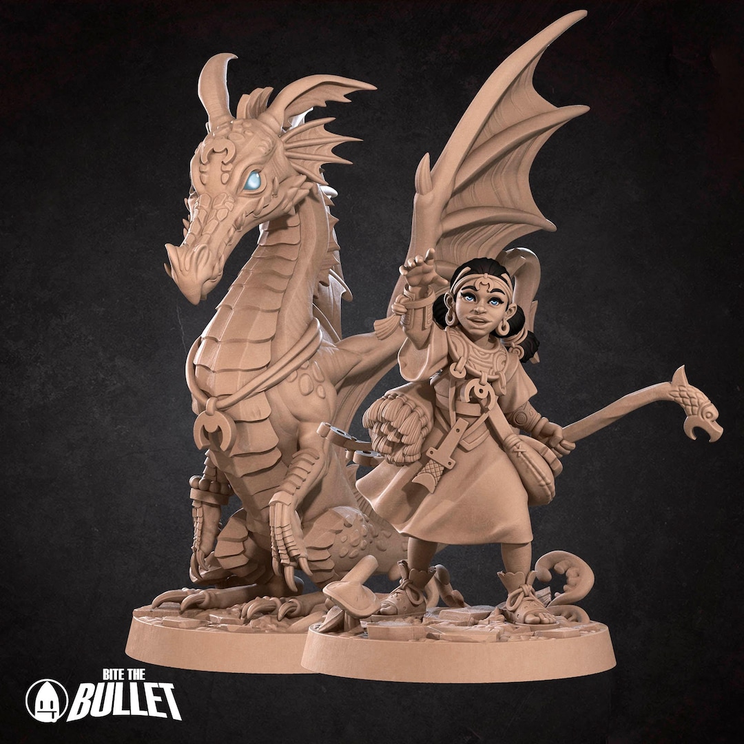 Dungeons and Dragons, DND TTRPG, Wargaming - Playable Character ...