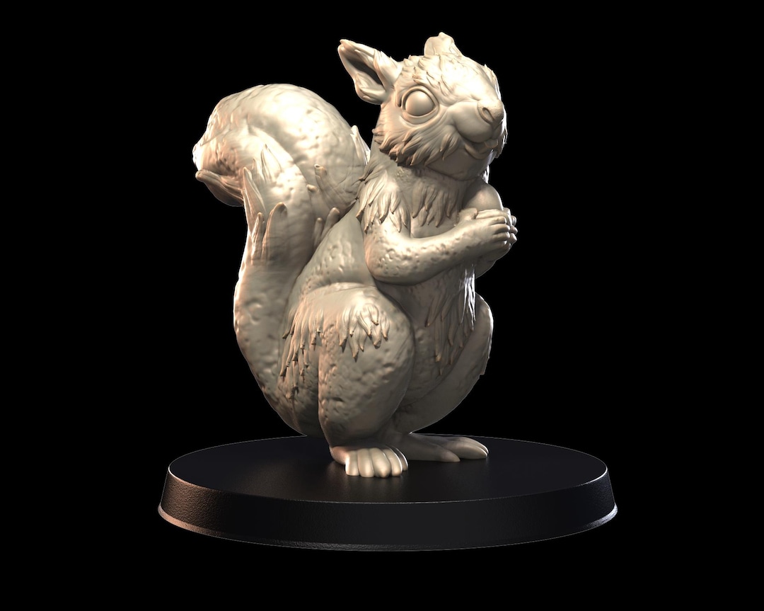 Dungeons and Dragons, DND TTRPG, Wargaming - Druid Wildshape - Tiny Beast - Squirrel - Etsy