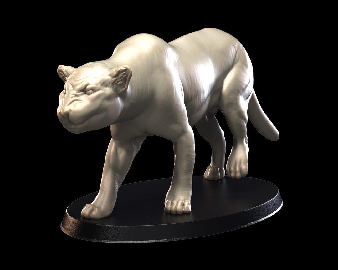 Dungeons and Dragons, DND TTRPG, Wargaming - Druid Wildshape Medium ...