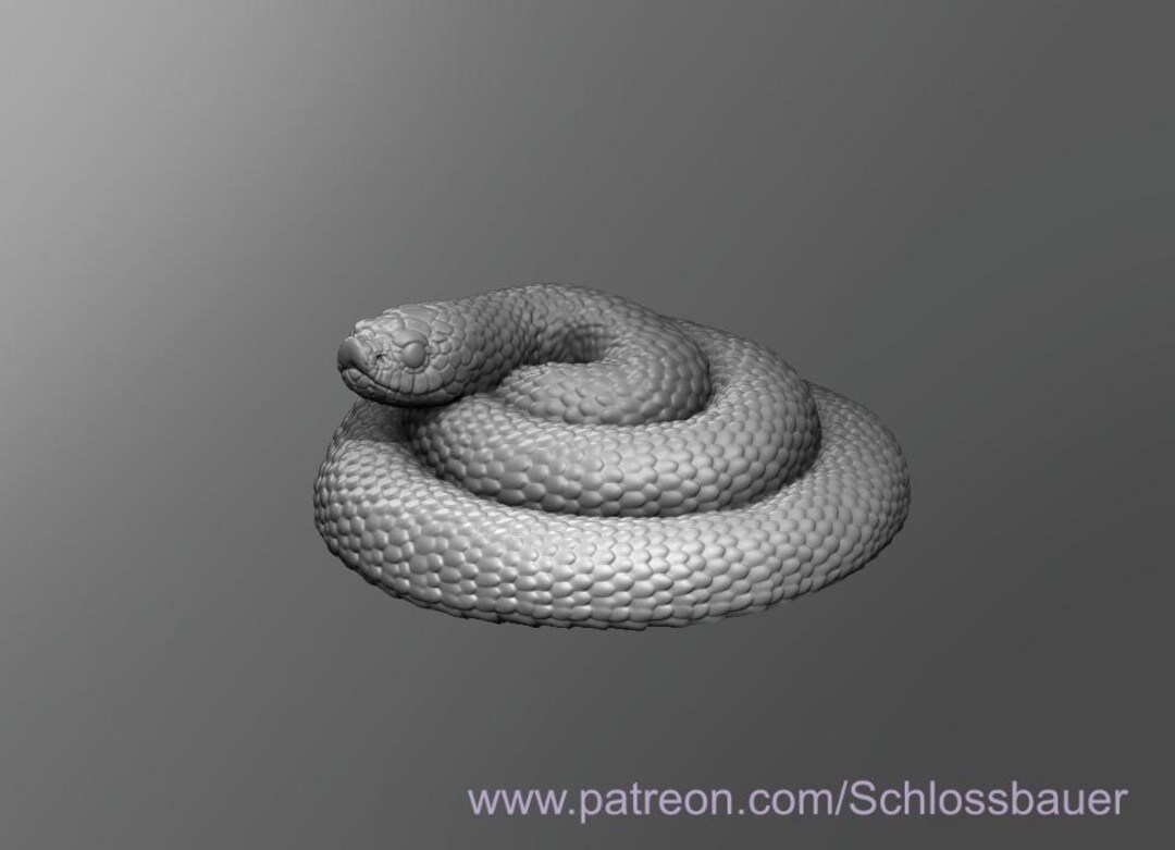 Dungeons and Dragons, DND TTRPG, Wargaming - Poisonous Snake - Hognose ...