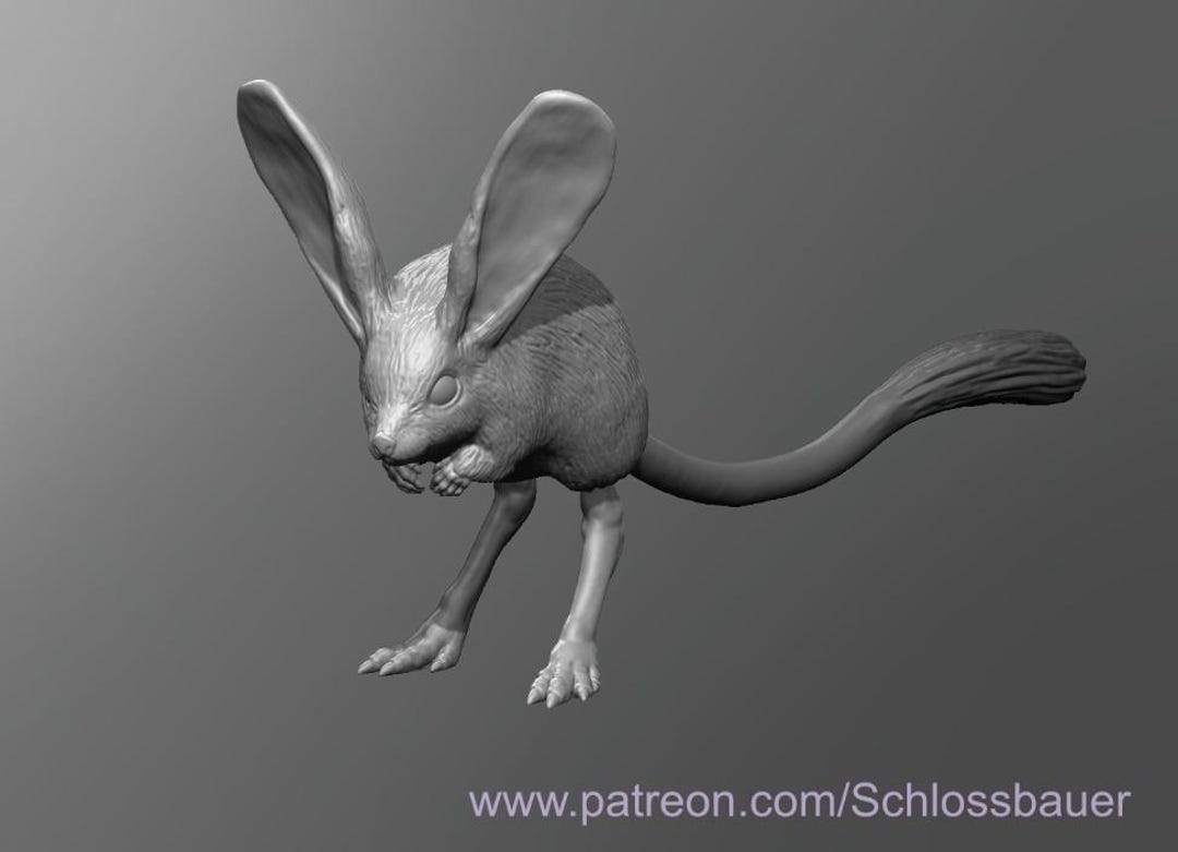 Dungeons and Dragons, DND TTRPG, Wargaming - Tiny Animal - Jerboa - Etsy