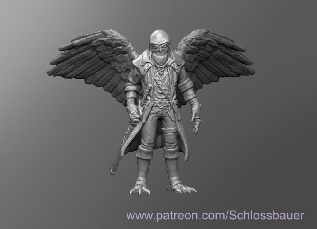 Dungeons and Dragons, DND TTRPG, Wargaming - Playable Character - Owlin ...