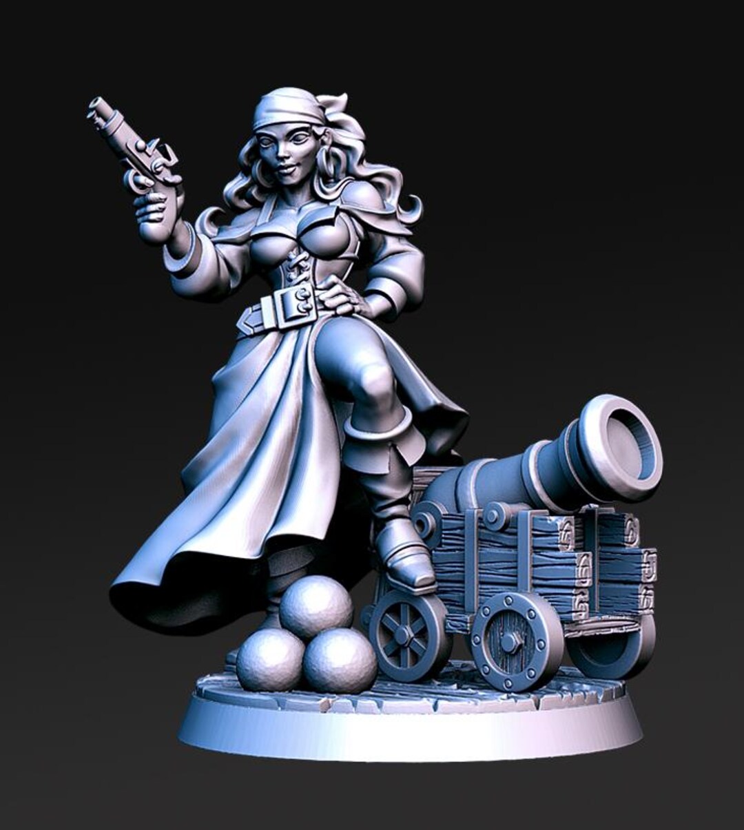 Dungeons and Dragons Playable Character Female Human Shelly Pirate ...