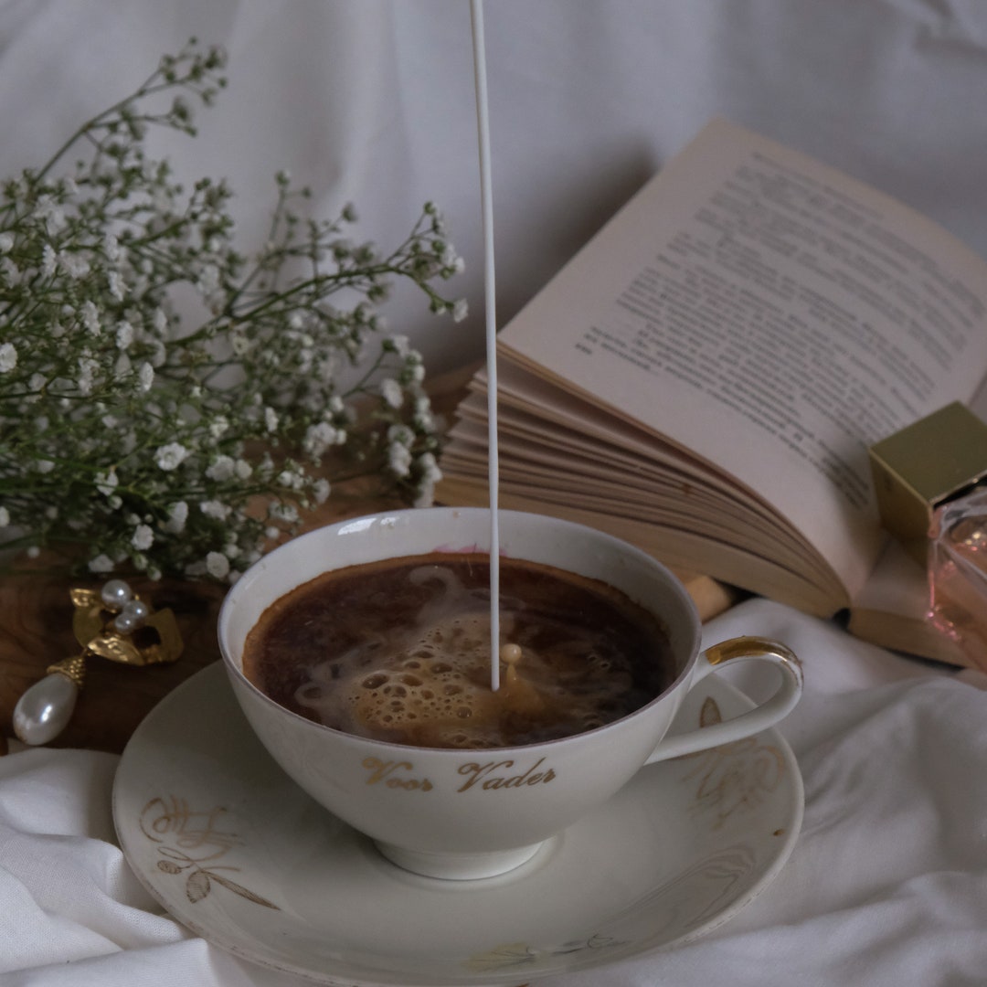 Delicate 1950s Mid Century Modern Vintage Z&co Tirschenreuth Bavaria ...