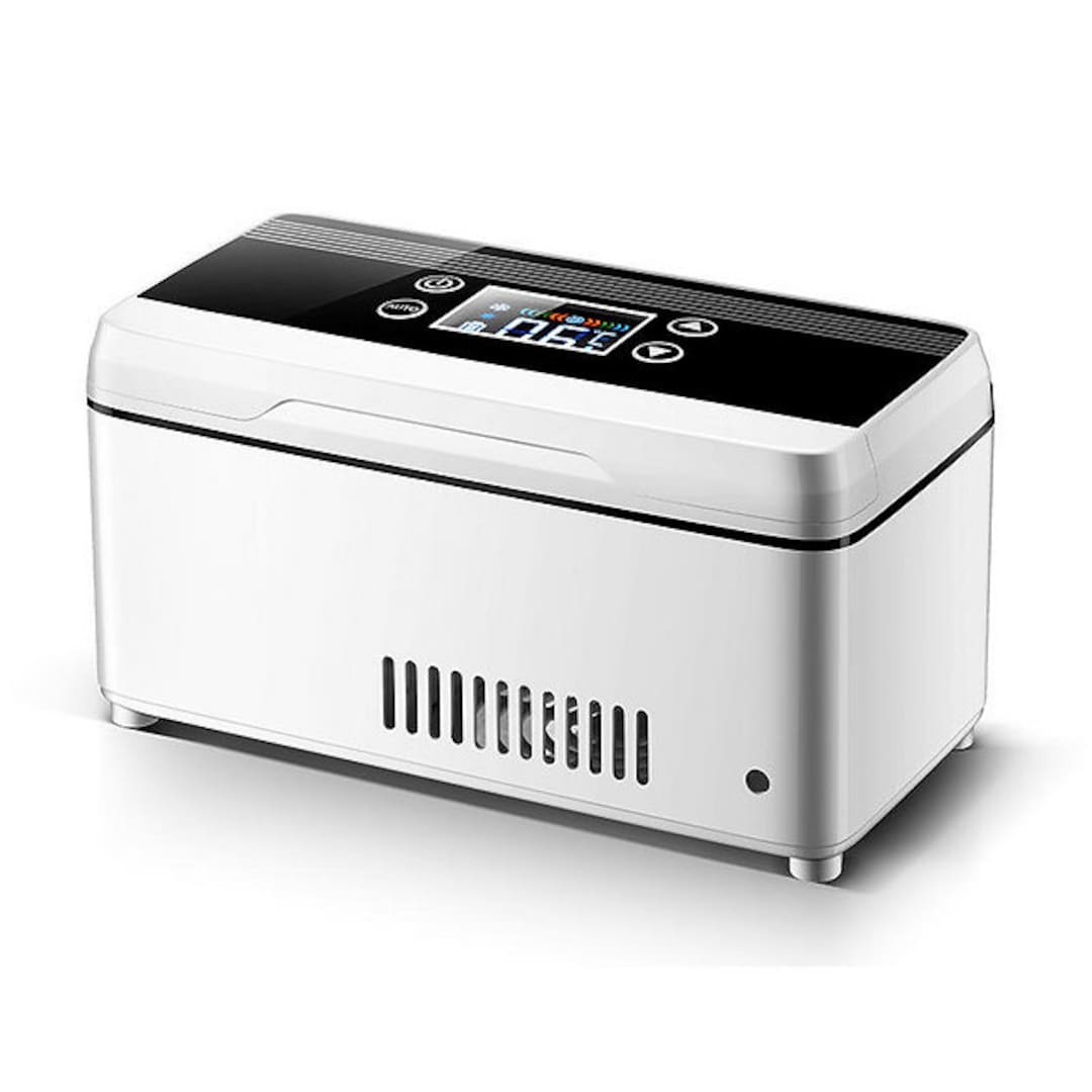 Fridge for Insulin - Etsy