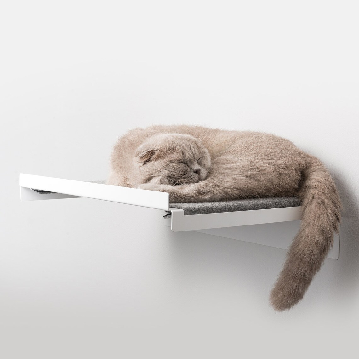 Cat Shelves Cat Furniture Cat Shelf Cat Wall Furniture Set - Etsy