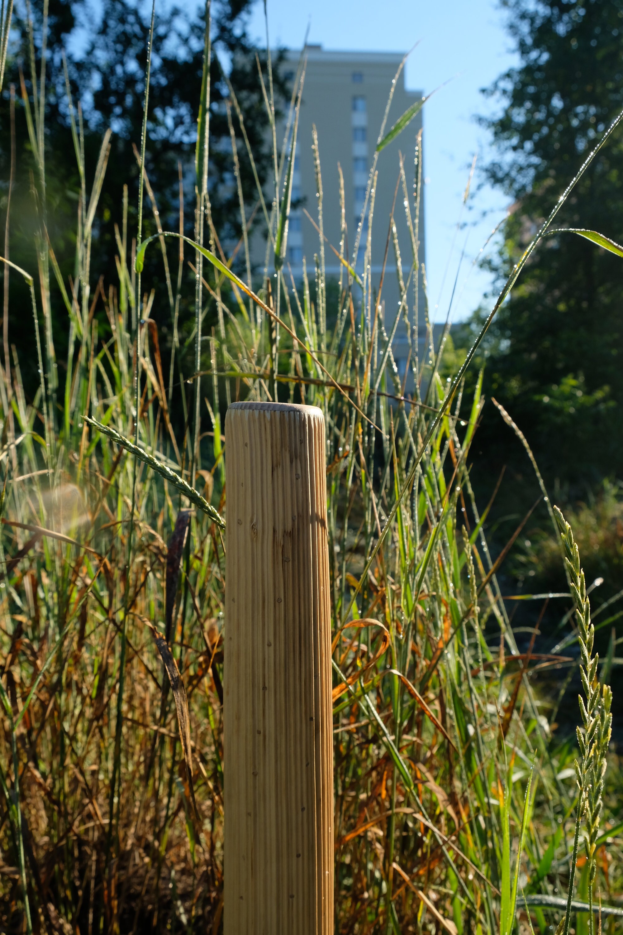 SUPER LONG Handmade Rainstick Rain Flute, Native American Instrument ...