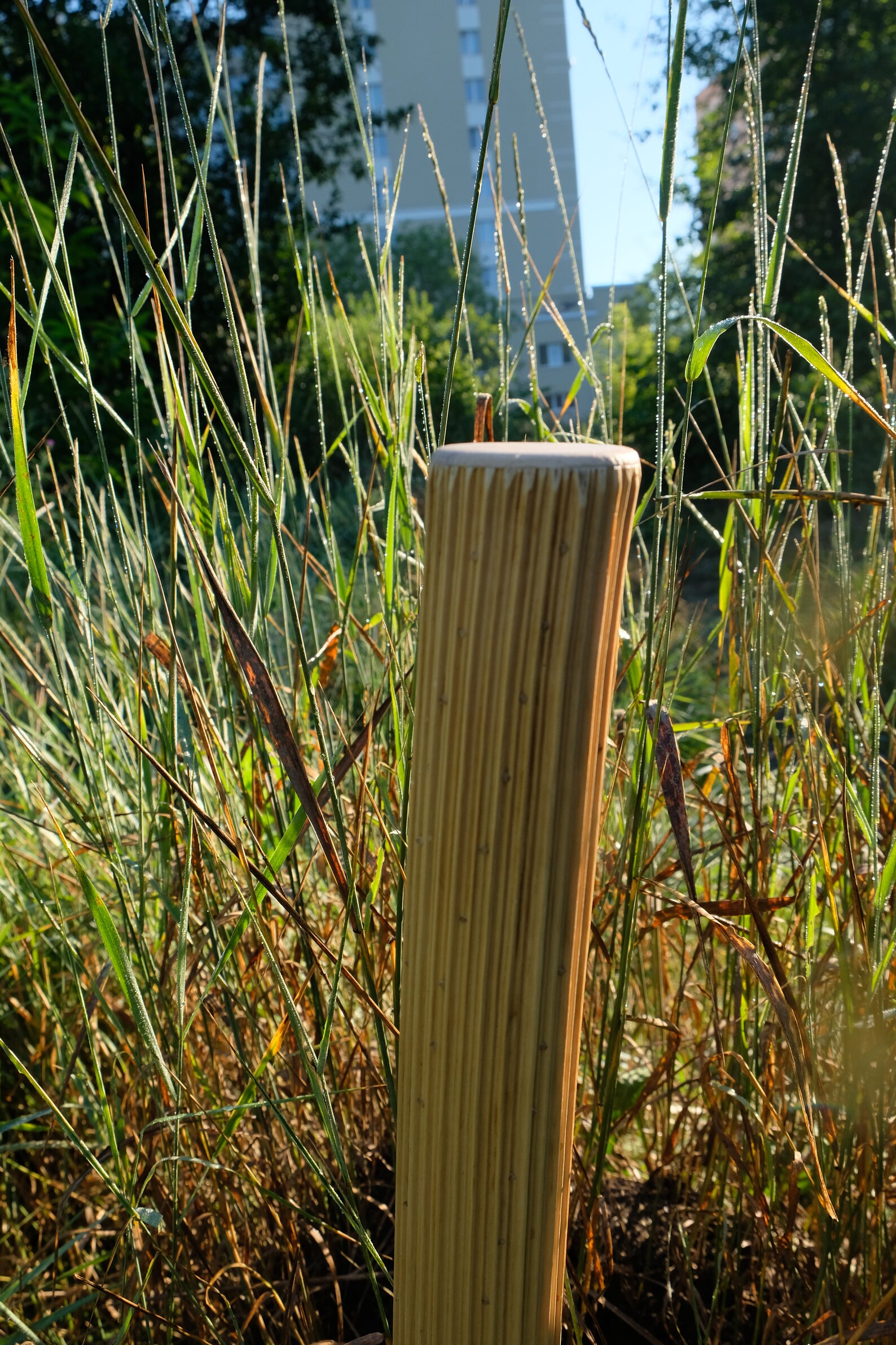 SUPER LONG Handmade Rainstick Rain Flute, Native American Instrument ...