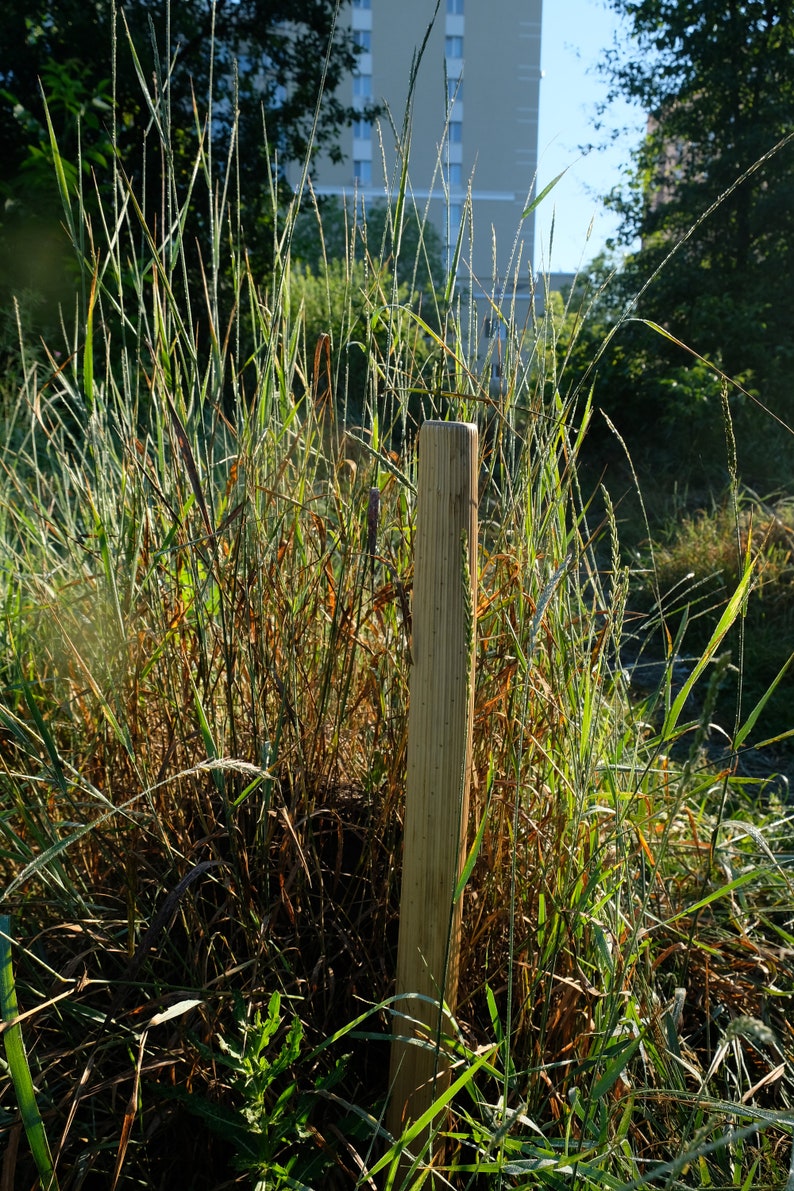 SUPER LONG Handmade Rainstick Rain Flute, Native American Instrument ...
