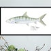 CUSTOM 22x11 23x12 Bonefish Prints With Custom Catch Stamps ...
