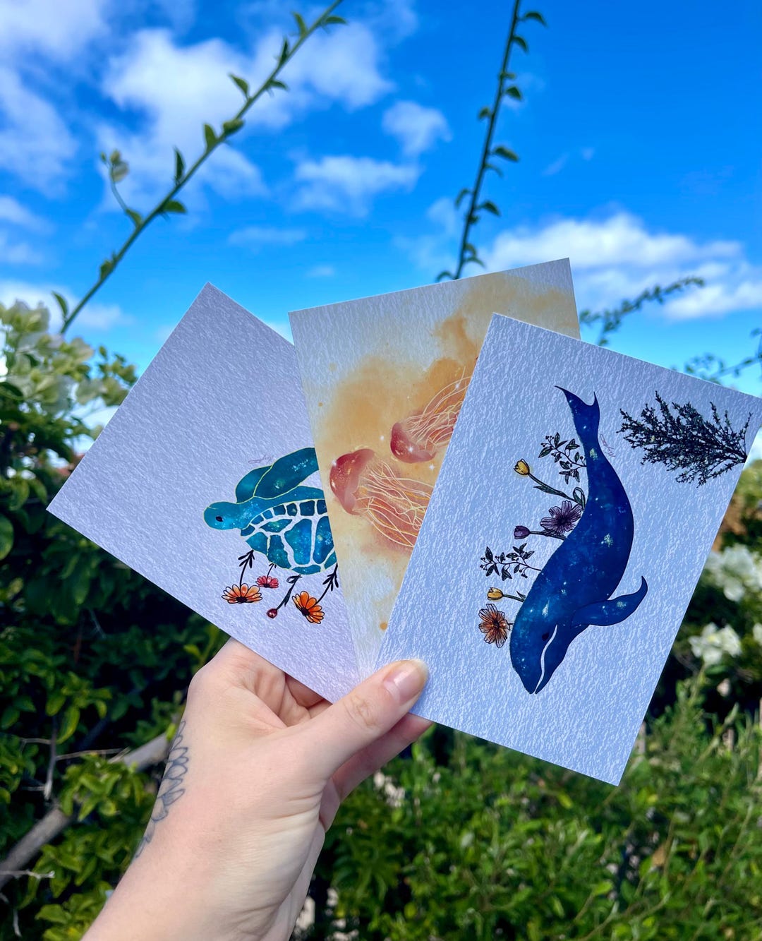 Australian Inspired Ocean Postcards, Coastal Beach Travel Cards, Marine ...