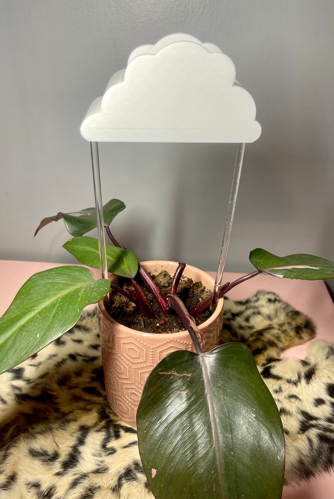 Rain Cloud Waterer | Gentle Rain | Houseplant Accessories | Houseplant ...