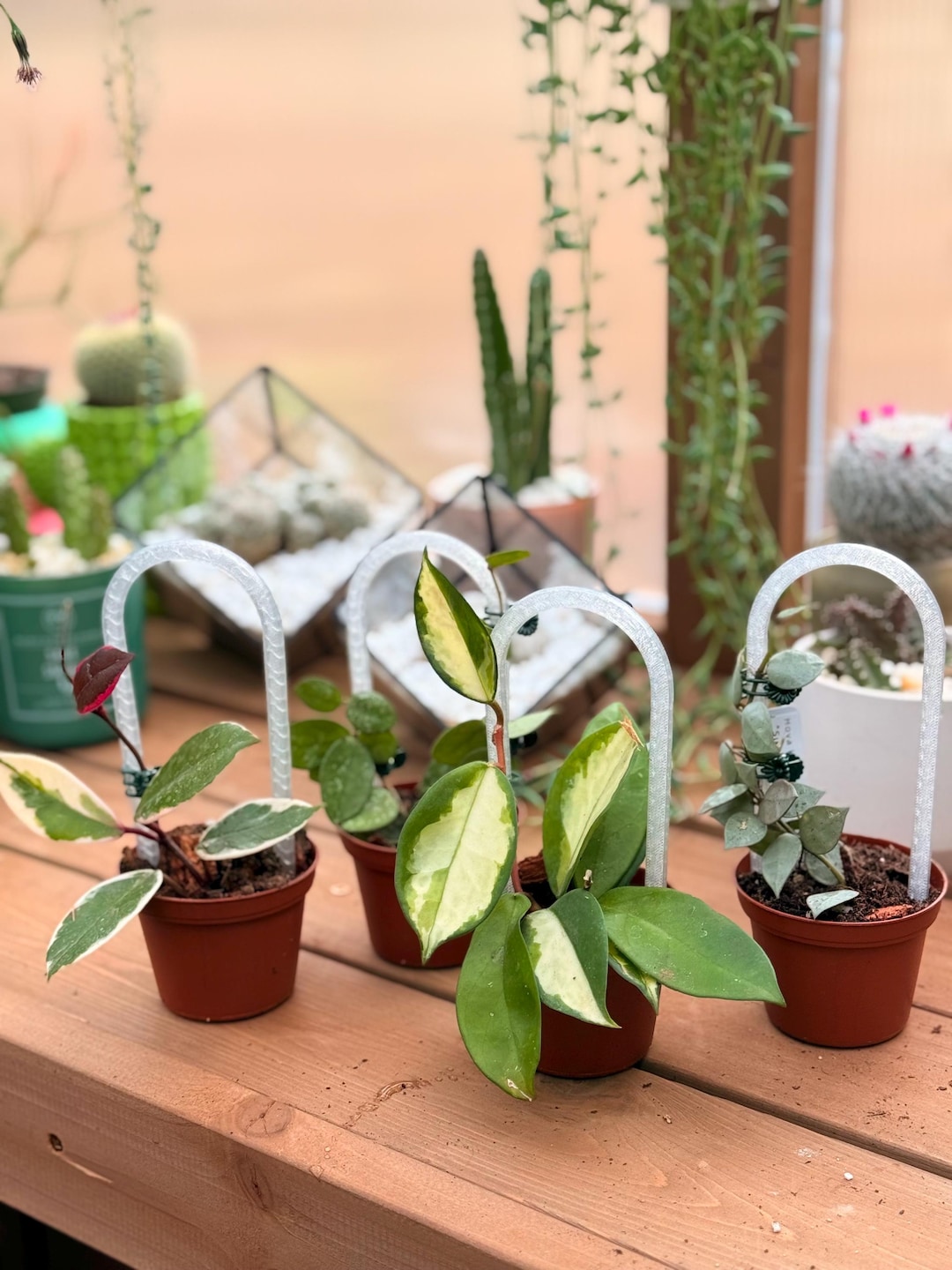 The Mini Arbor | 3D Printed Plant Trellis | Climbing Plant Support ...